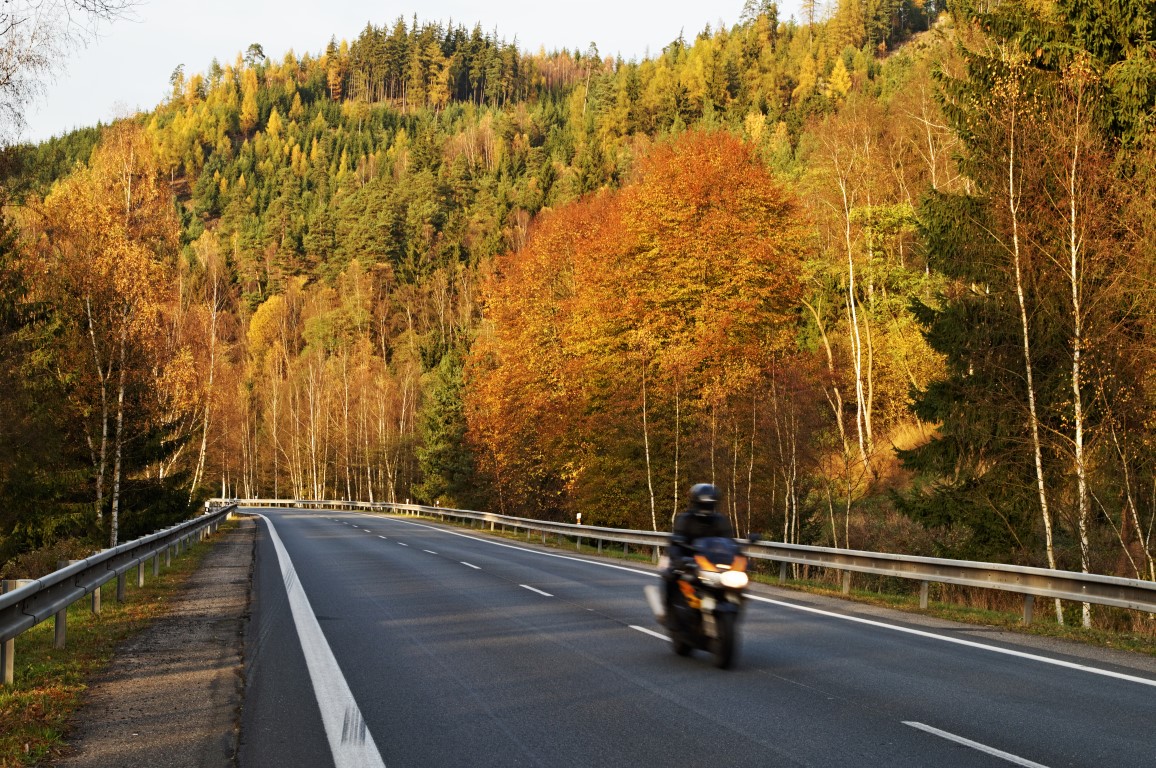 10 Autumn Hazards And How To Handle Them | Riders Plus
